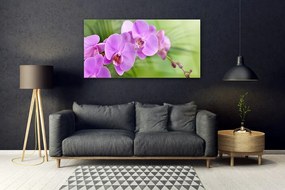 Plexisklo-obraz Vstavač Orchidej Květiny 120x60 cm