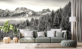 Samolepící fototapeta černobílé zmrzlé hory - 150x100 cm