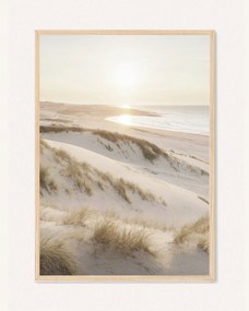 Oboustranný plakát Letní Pampová Tráva | 30 x 42 cm | DP351495