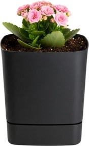 Plastový květináč s podmiskou Cubi 16x16 cm - výběr z 6 provedení