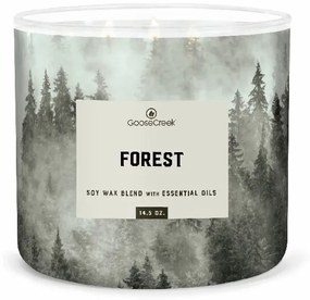 Svíčka MEN'S COLLECTION 0,41 KG FOREST, aromatická v dóze, 3 knoty|Goose Creek