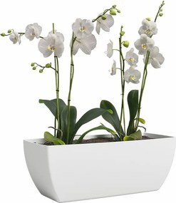 Truhlík z recyklovaného plastu 30 cm Siena – Artevasi