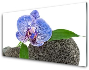 akrylový obraz Květ Rostlina Příroda 120x60 cm