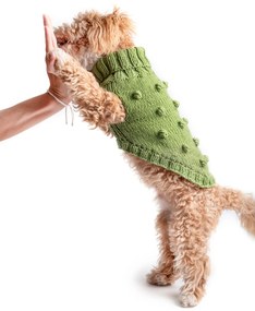 Pet Amour London svetr pro psy a kočky zelený Velikost: 27