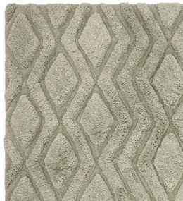 Tribeca Design Kusový koberec Artas Sage Rozměry: 160x230 cm