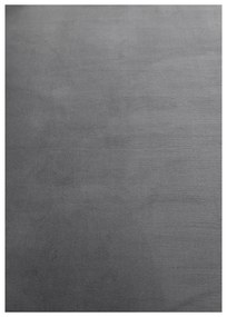 Ayyildiz, Kusový koberec Sky 5400 Grey, 120x170, šedá, obývací pokoj