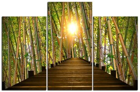 Obraz na plátně - Dřevěná promenáda v bambusovém lese 1172D (90x60 cm)