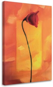 Obraz na plátně Mák Červený květ Příroda - 70x100 cm