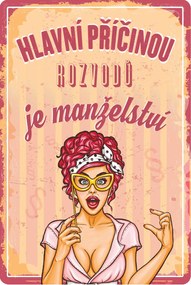 Postershop Plechová cedule: Hlavní příčinou rozvodů je manželství - 20x30 cm