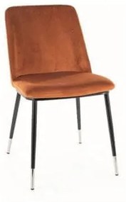 Signal Moderní jídelní židle JILL Velvet černá/chrom/skořice Bluvel 4215