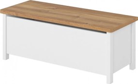 Casarredo - Komfort nábytek Truhlice TOJAVA 10, bílá/dub nash