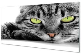 Obraz na skle Šedočerná kočka 120x60 cm