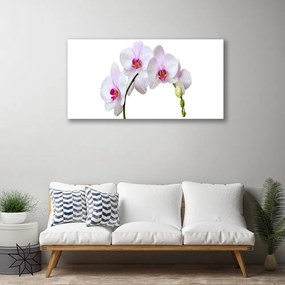 Obraz na plátně Vstavač Orchidej Květiny 120x60 cm