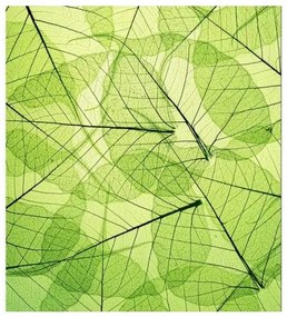 DIMEX | Vliesová fototapeta na zeď Žilky listů MS-3-0111 | 225 x 250 cm | zelená