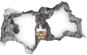 Wallmuralia Díra 3D fototapeta na stěnu Pes a kočka 95x73 cm