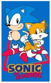 Carbotex Dětský froté ručník Ježek Sonic 30x50 cm