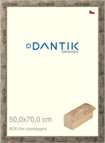DANTIK rámeček 50x70 | BOX film champagne (Plexi Čiré)