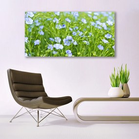 akrylový obraz Květiny Tráva Rostlina Příroda 120x60 cm