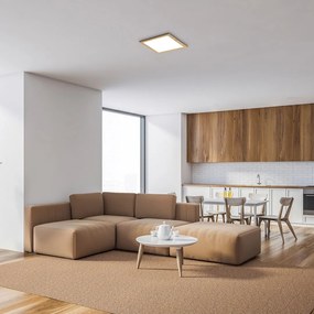 Rabalux Stropní LED svítidlo Almond s dekorem dřeva hranaté 295x295mm 12W 6907