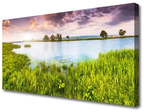Obraz na plátně Tráva Jezero Příroda 140x70 cm