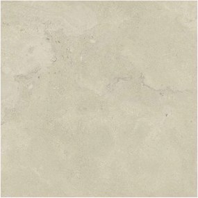 EBS Portlandstone - Dlažba 60x60 cm, matná taupe PRTLS60TP
