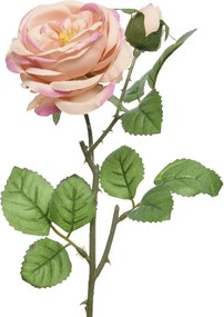 XXXLutz RŮŽE 42 cm - Umělé květiny - 0037546700