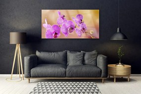 Plexisklo-obraz Orchidej Výhonky Květiny Příroda 120x60 cm