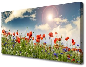 Obraz na plátně Louka Květiny Slunce Příroda 140x70 cm