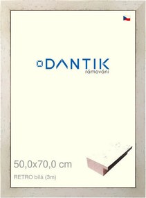 DANTIK rámeček 50x70 | RETRO bílá (Plexi Čiré)