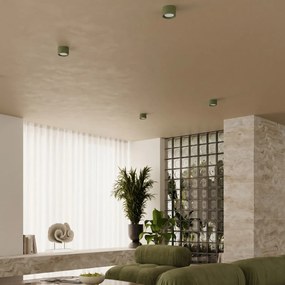 Sollux Lighting Stropní svítidlo MODO 1 olivově zelené GX53