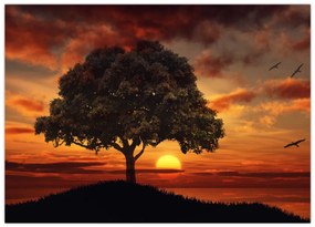 Obraz stromu se západem slunce (70x50 cm)
