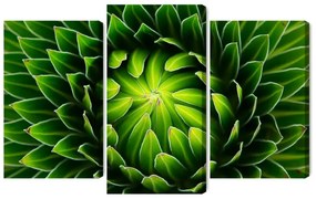 Vícedílný obraz Zelená Rostlina V Makro Měřítku Nedostatek Nedostatek Plátno Canvas 180x120