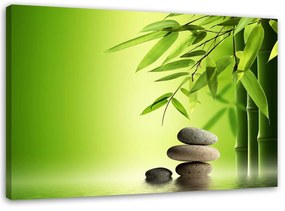 Gario Obraz na plátně Zenové kameny a bambus na zeleném pozadí Rozměry: 60 x 40 cm