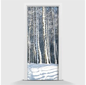 Samolepící fototapeta - Břízy v zimě 95 x 210cm