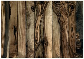 Fototapeta - Olive Wood