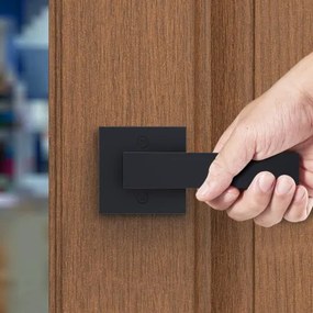 Dummy dveřní páka, 2 KS neotáčivé jednostranné madlo pro tlačení/tahání