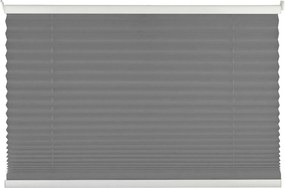 XXXLutz PLISÉ, poloprůhledné, 100/130 cm Homeware - Rolety a žaluzie - 006935021811