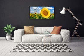 Obraz na plátně Slunečnice Květ Rostlina 120x60 cm