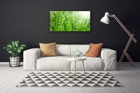 Obraz na plátně Příroda Tráva Kapky 120x60 cm