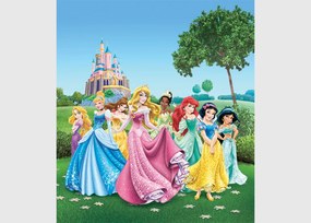 Dětská vliesová fototapeta na zed' Princezny, Disney | 180 x 202 cm | DFTDNXL 5112