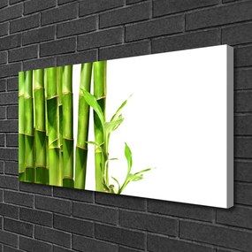 Obraz na plátně Bambus Rostlina 120x60 cm