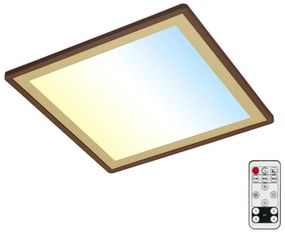 Briloner | Briloner 7459-417 - LED Stmívatelné stropní svítidlo DECO LED/24W/230V + DO | BL1389