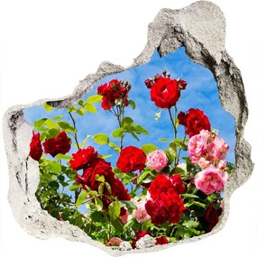 Wallmuralia Samolepící nálepka na zeď Divoké růže 75x75 cm
