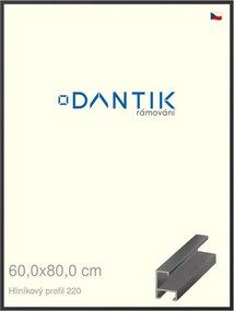 DANTIK rámeček 60x80 | ALU profil 6220 Černá matná (Plexi Čiré)