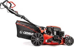 Hahn & Sohn Cedrus Benzínová sekačka s pojezdem KS53SV-E HP16792