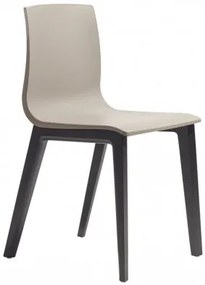 Scab Jídelní židle SMILLA technopolymer Barva plastu Scab Lněná Moření Scab FS-buk bělený 2841