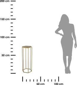 STOJAN NA KVĚTINÁČ HEXA 70X24X28 CM ZLATÁ