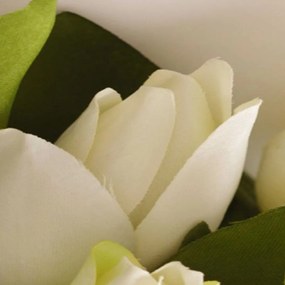 Ozdobný paraván Bílé tulipány květy - 110x170 cm, třídílný, obustranný paraván 360°