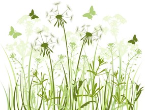 Fototapeta Pampelišky a motýli - minimalistický rostlinný motiv na světlém pozadí