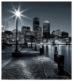 DIMEX | Vliesová fototapeta na zeď Boston MS-3-0016 | 225 x 250 cm | černobílá